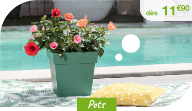 OOGarden : Aménagement Extérieur - Jardin - Jardinage - Terrasse