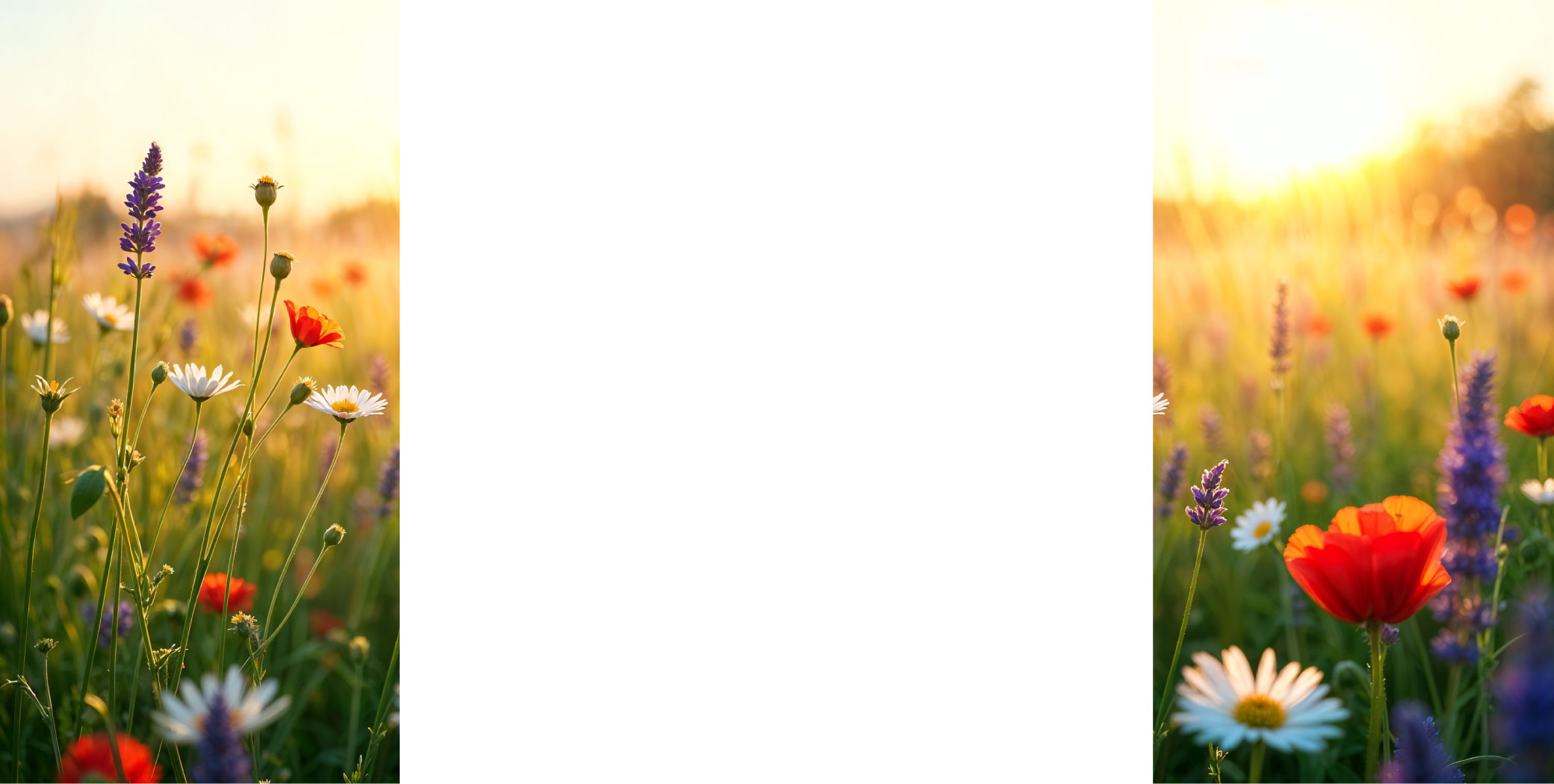 OOGarden : Aménagement Extérieur - Jardin - Jardinage - Terrasse